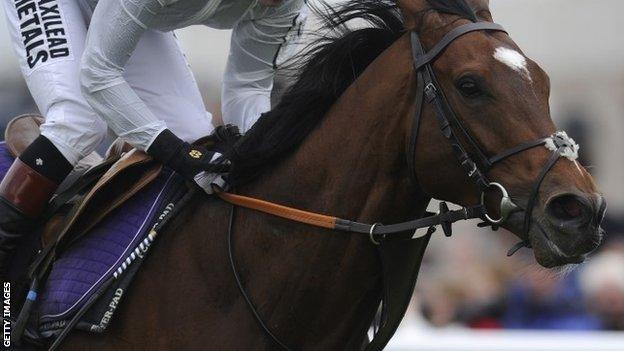 Frankel's brother among entries for 2016 Derby at Epsom - BBC Sport