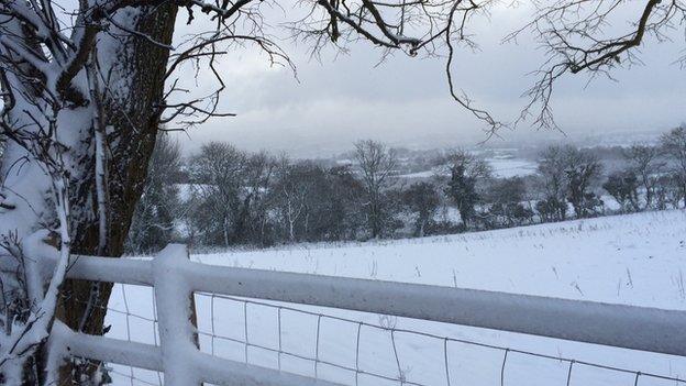 Northern Ireland snow: Transport and roads affected - BBC News