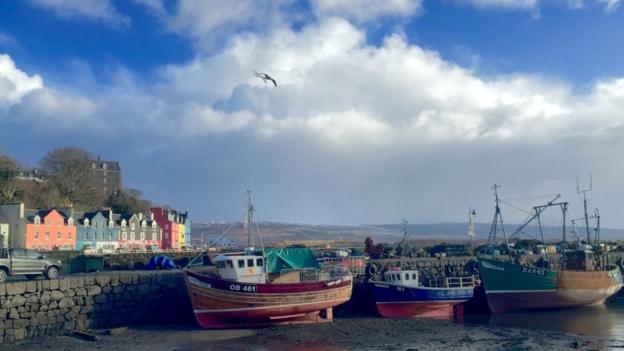 Your pictures of Scotland: 30 January - 6 February - BBC News