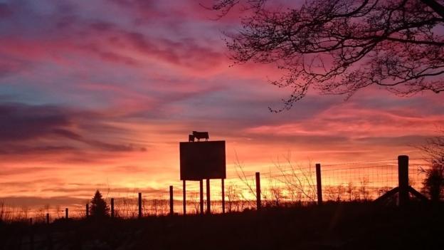 Your pictures of Saturday's sunset in Scotland - BBC News