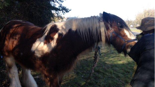 Traveller John Treagood back on road after online campaign - BBC News