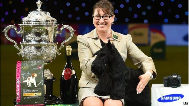 'No doubt' Crufts dog Jagger was poisoned, says owner - BBC News