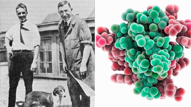 Five research papers that revolutionised health - BBC News