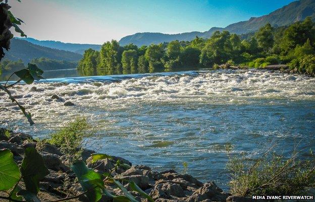 The beast of the Danube - BBC News
