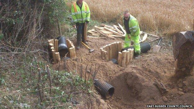 Bexhill to Hastings link road badgers move into new homes - BBC News