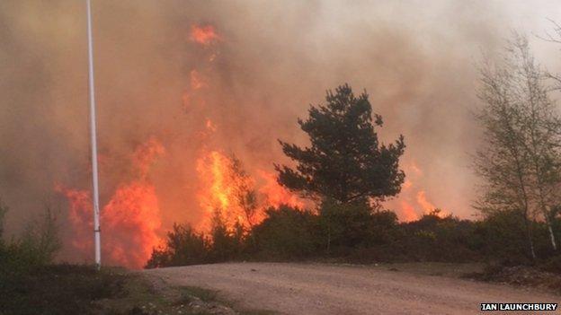 Pirbright fires: Crews tackle new heathland wildfire - BBC News