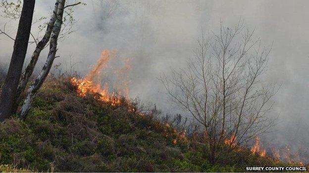 Arson ruled out in Frensham Common fire - BBC News