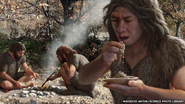 Cooking skills may have emerged millions of years ago - BBC News