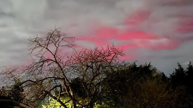 Northern Lights dazzle West Sussex and Kent - BBC News