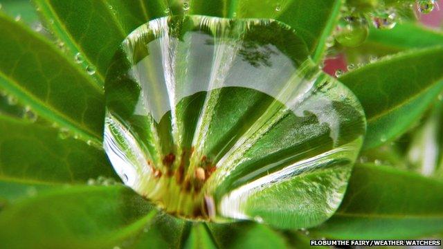 Drizzle or rain, sleet or snow? - BBC Weather