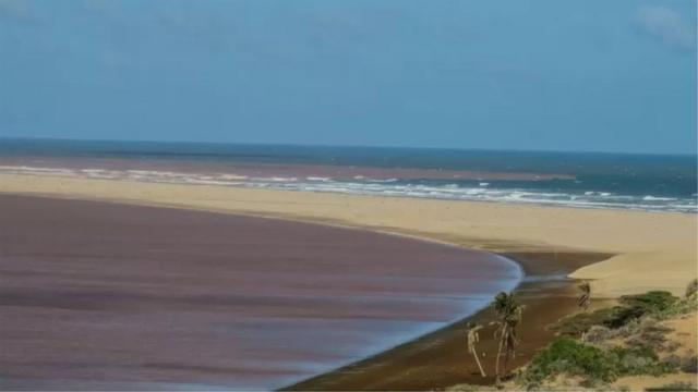 Gabadh cadaan ah oo Canada ku dishay gabadh Soomaaliyeed oo xabsiga ...