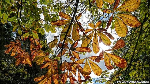 When does autumn start? - BBC Weather