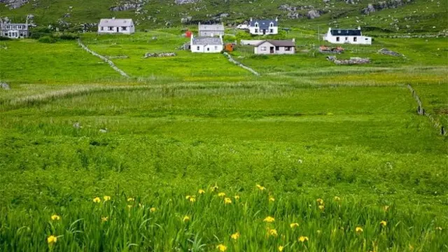 Scottish Parliament report: 17 June 2015 - BBC News