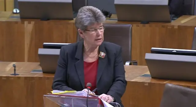 Senedd as it happened: 13 January 2016 - BBC News