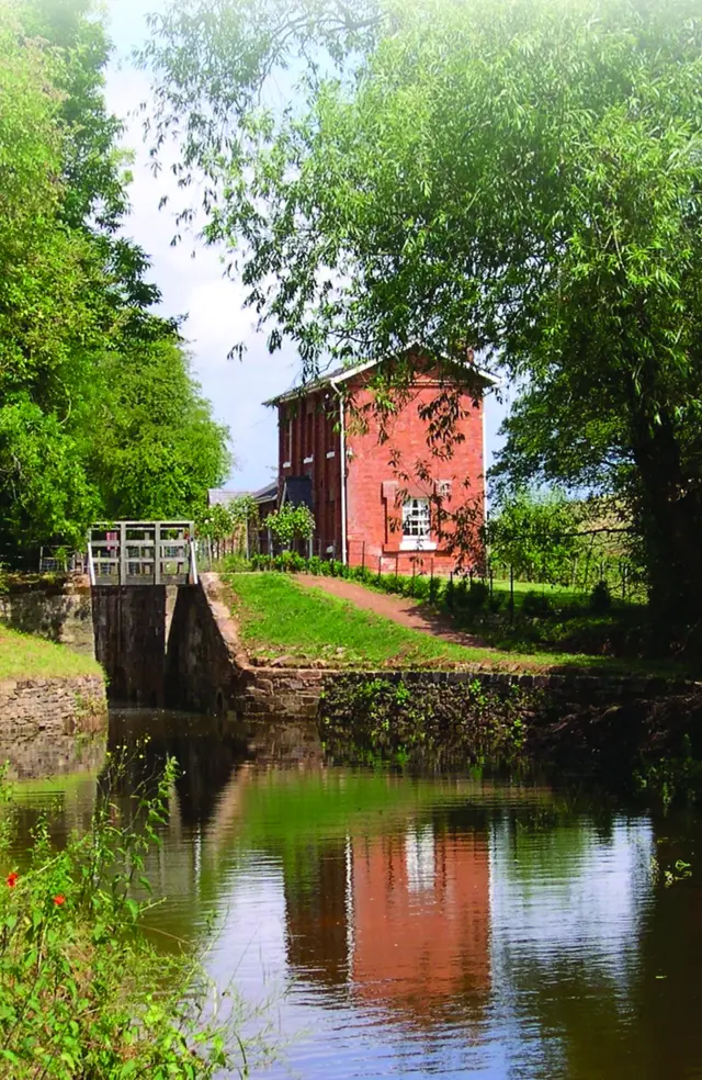 BBC Local Live: Herefordshire and Worcestershire on Tuesday 19 January ...