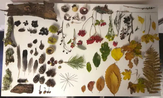 Autumnwatch 2016 - BBC