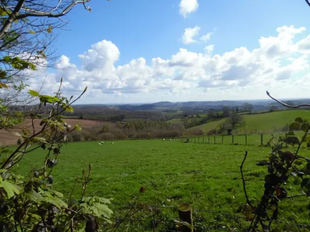 BBC Local Live: Herefordshire and Worcestershire on Monday 18 April ...
