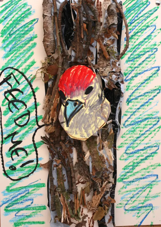 Springwatch 2016 from RSPB Minsmere - BBC