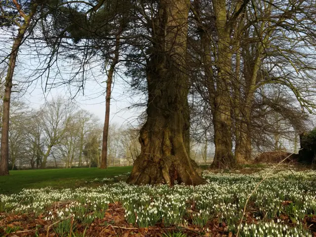 BBC Local Live: Nottinghamshire on Monday 13 February 2017 - BBC News