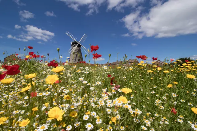 BBC Local Live: Updates from North East England on Monday 26 June 2017 ...