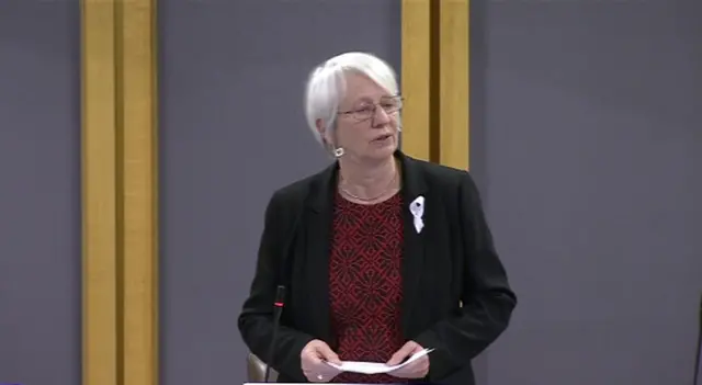 AMs debate economic action plan - BBC News