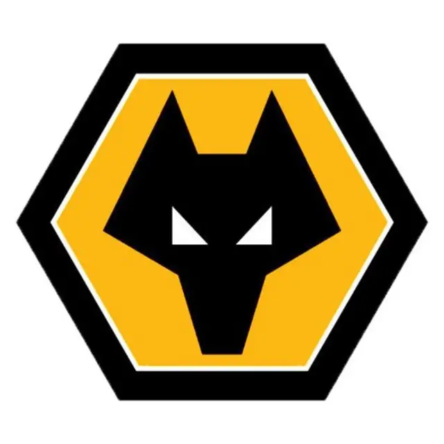 FA Cup LIVE: Wolves vs Coventry score, commentary & updates from ...