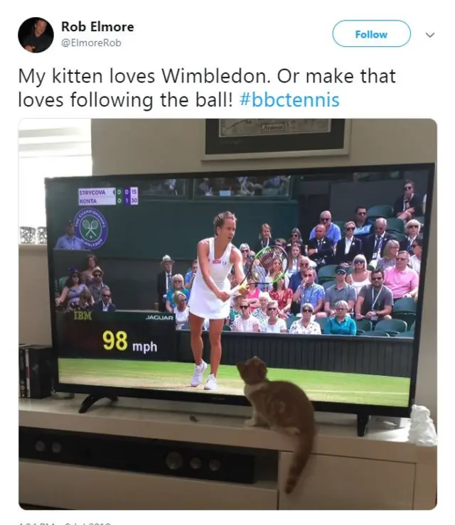 Wimbledon 2019: Watch Hurricane Tyra Black & Shavit Kimchi live on ...