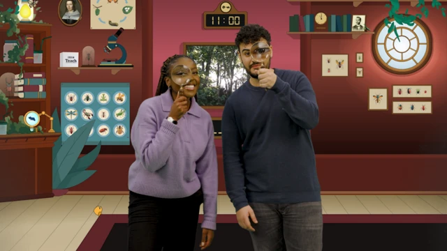 World Book Day 2024 – Live Lesson - BBC