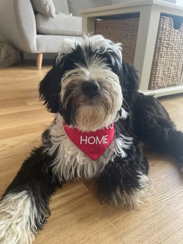 RECAP: Build-up as England face Spain in Basel in the Euro 2025 final ...