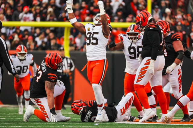 NFL week 18 scores & reports: Steelers beat Ravens in final game ...