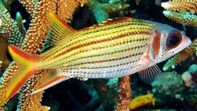 BBC Local Live: Devon & Cornwall - BBC News