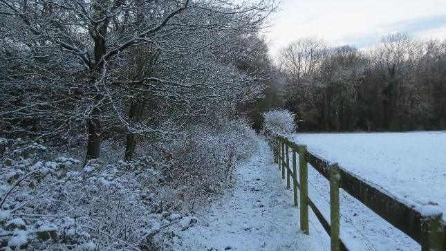 In pictures: Snow falls in parts of Kent - BBC News