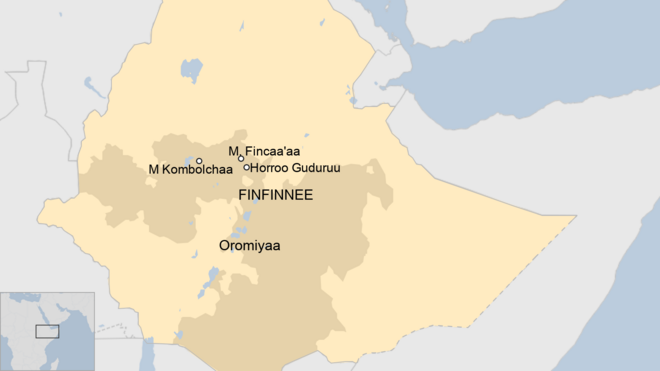 ABO (Adda Bilisummaa Oromoo) - BBC News Afaan Oromoo