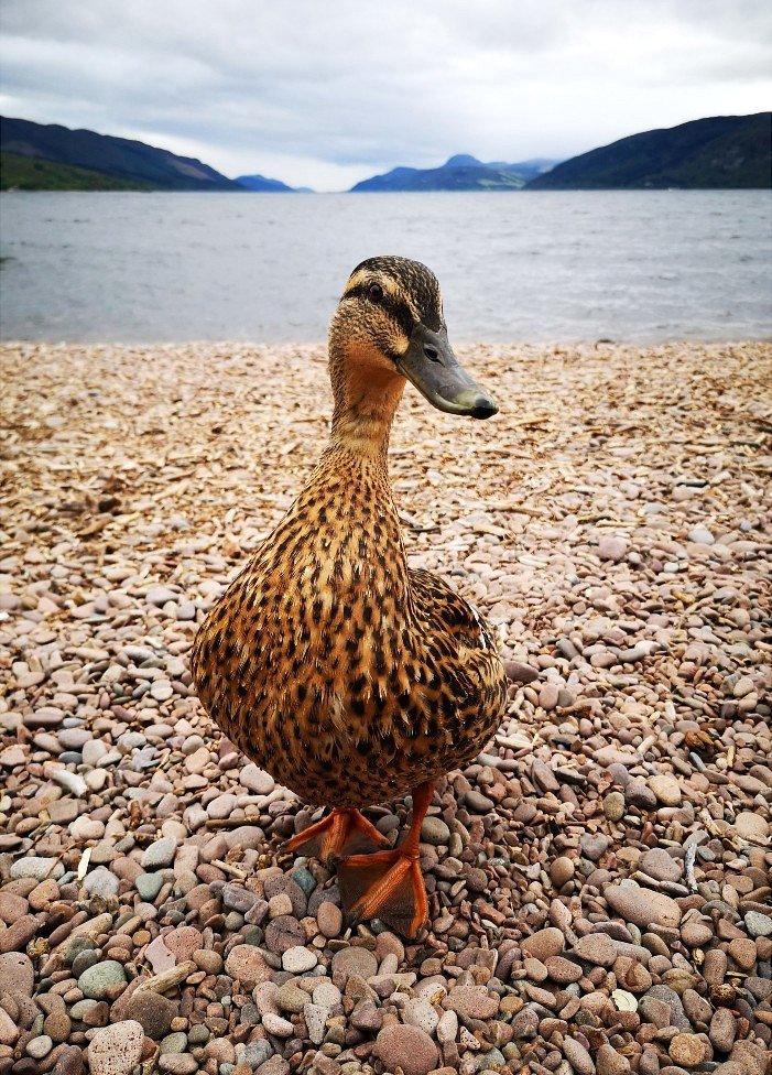 Your pictures of Scotland: 17 - 24 September - BBC News