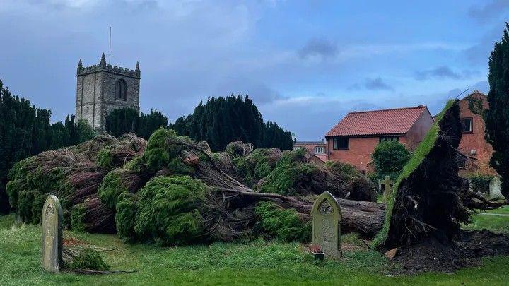 Kirkbymoorside to remember WW1 child refugee - BBC News