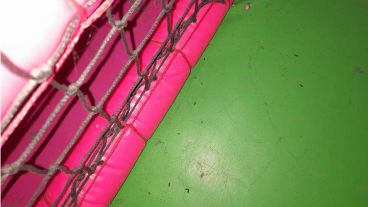 Mouse droppings found in David Lloyd gym in Derby - BBC News