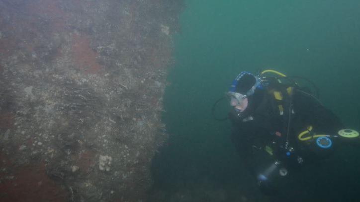 Strangford Lough: Dolphins Sub-Aqua Club explores shipwreck - BBC News
