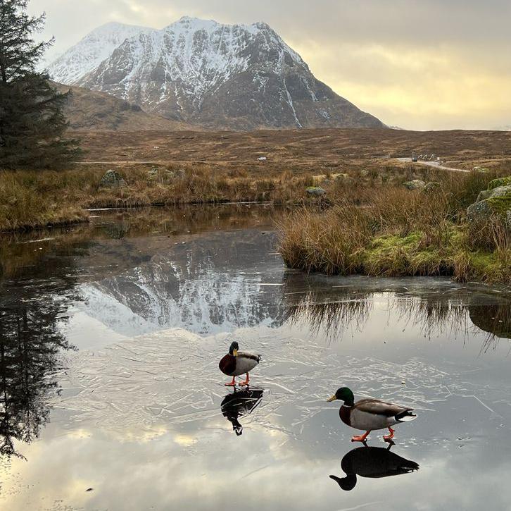 Your pictures of Scotland: Photographs from around the country - BBC News
