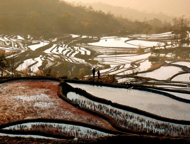 Your pictures: Fields - BBC News