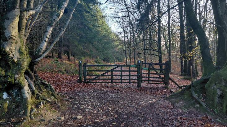Quantock Hills plan can be commented on by Somerset residents - BBC News