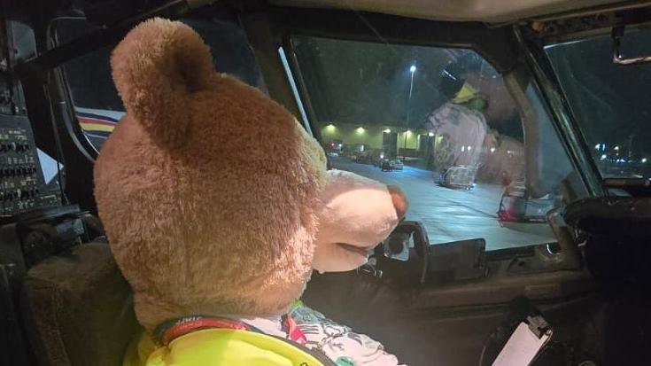 Giant bear encourages children to talk about mental health - BBC News