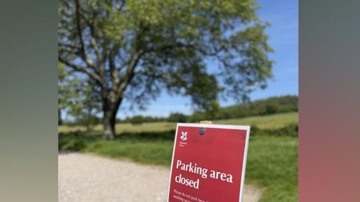 Sadness as 200-year-old Plymouth's Saltram tree felled - BBC News