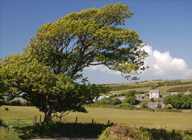 In pictures: Wind - BBC News