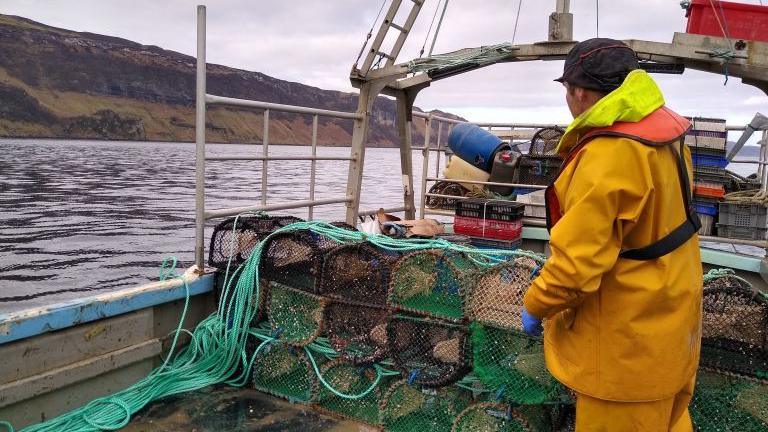 Fishing: New sink-free rope could protect whales from harm - BBC Newsround