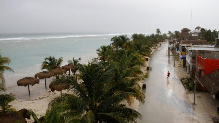 Britons survived in Mexican jungle on peanuts and fish - BBC News