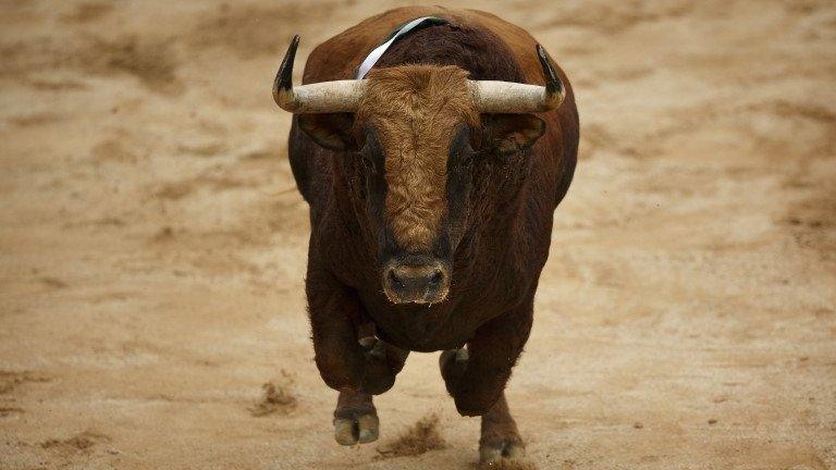 Bull kills French woman at Aigues-Mortes festival race - BBC News