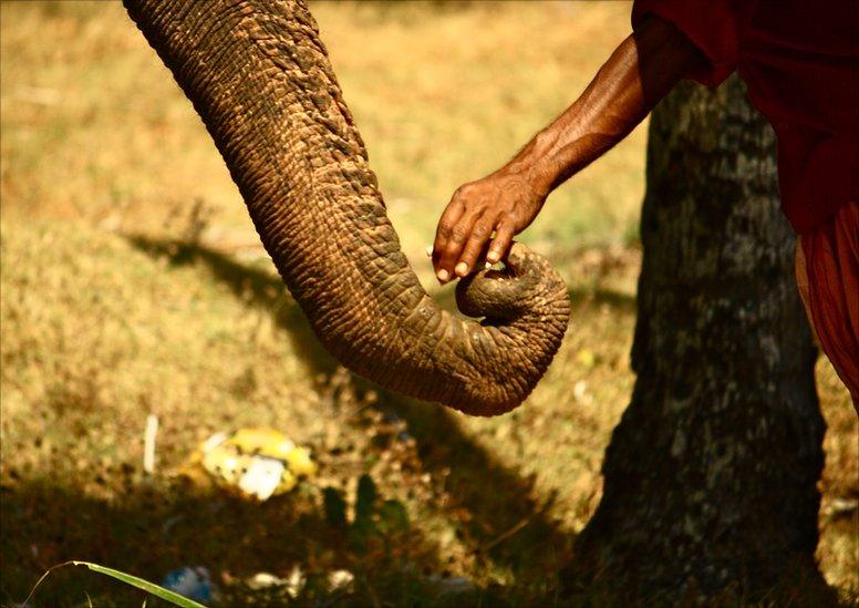 Your pictures: Hands - BBC News