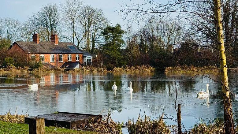 Your photos from the West Midlands: Icy squirrels and the first ...
