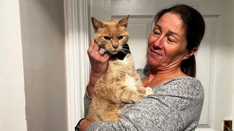 Lincoln the Hornsea Tesco Cat takes on the book charts - BBC News