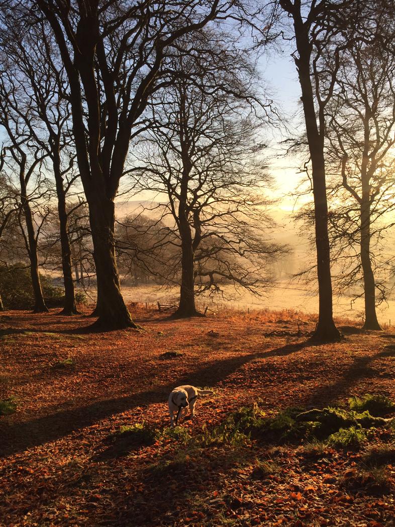 Your pictures of Scotland - BBC News